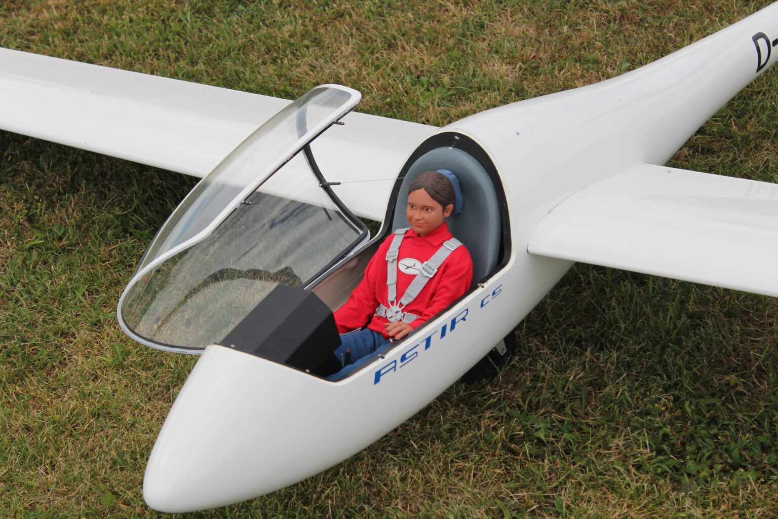 Bilder Modellflug 2020 | Flugsportvereinigung Blitz e.V.